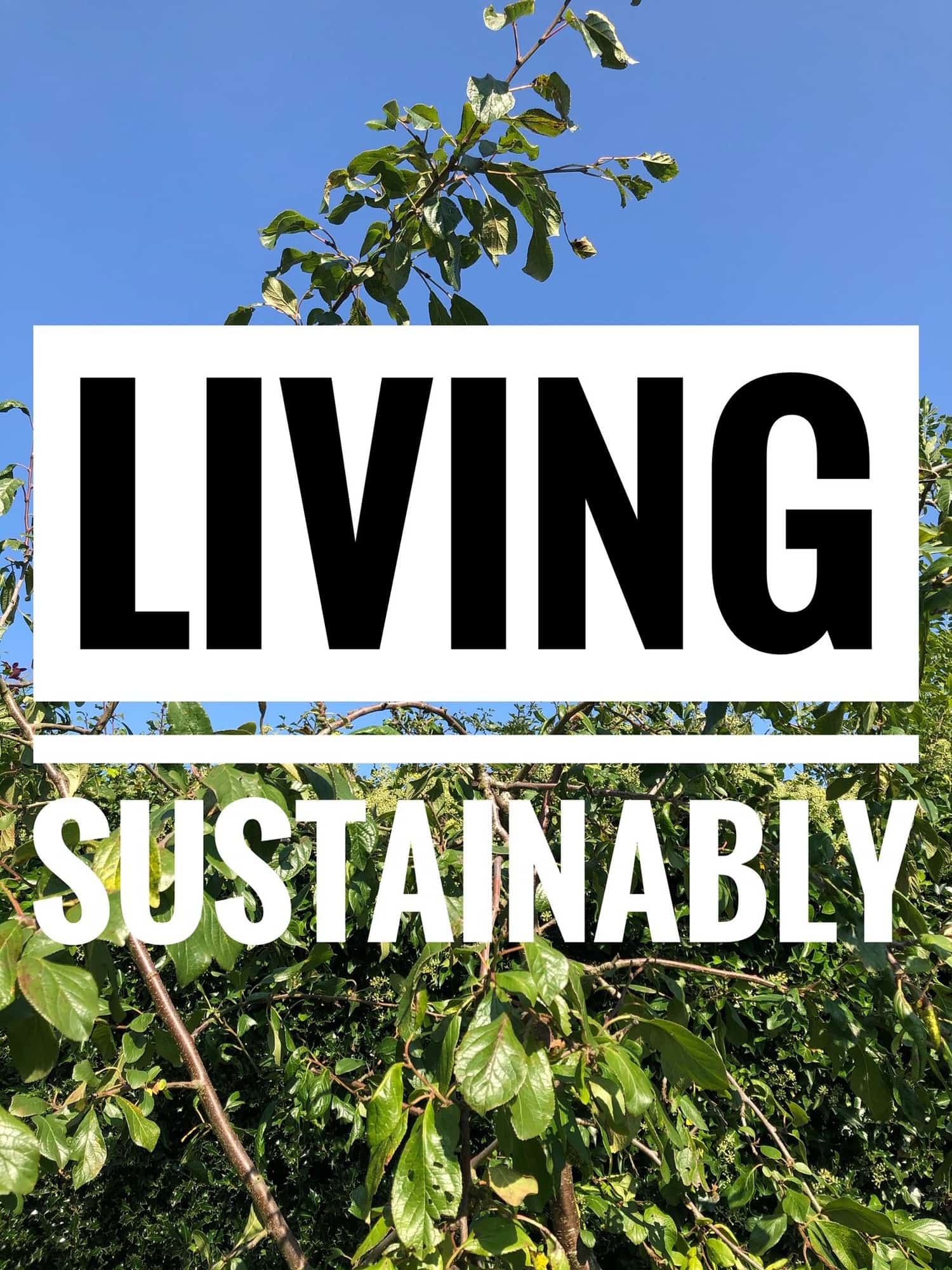 Living Sustainably - Tips & info- The Real Meal Deal