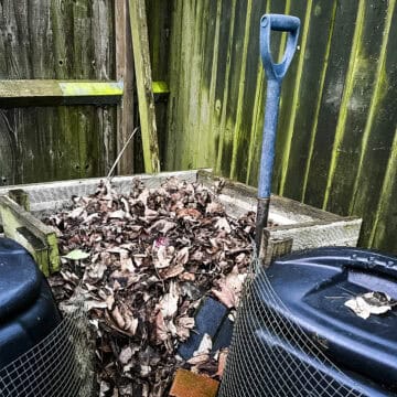 How to Compost Food Scraps at Home: A Simple Guide to Reducing Food ...