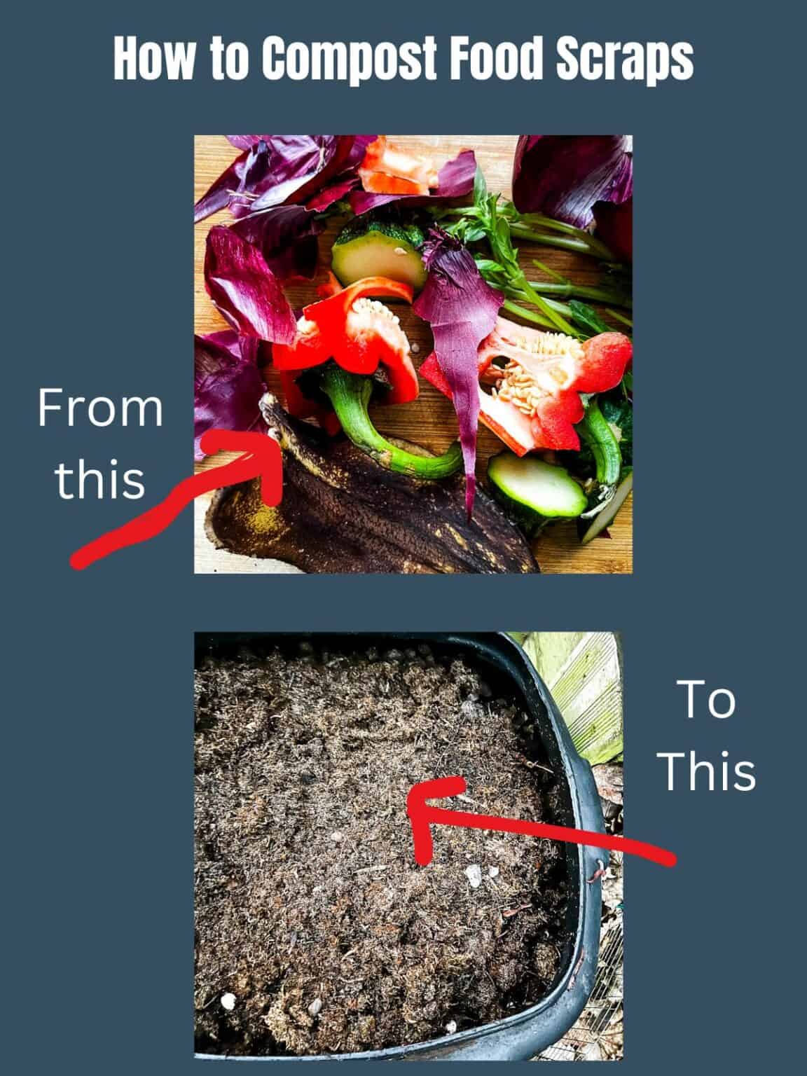 How to Compost Food Scraps at Home: A Simple Guide to Reducing Food ...